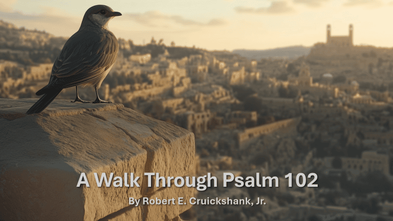A Walk Through Psalm 102 - The Burros of Berea